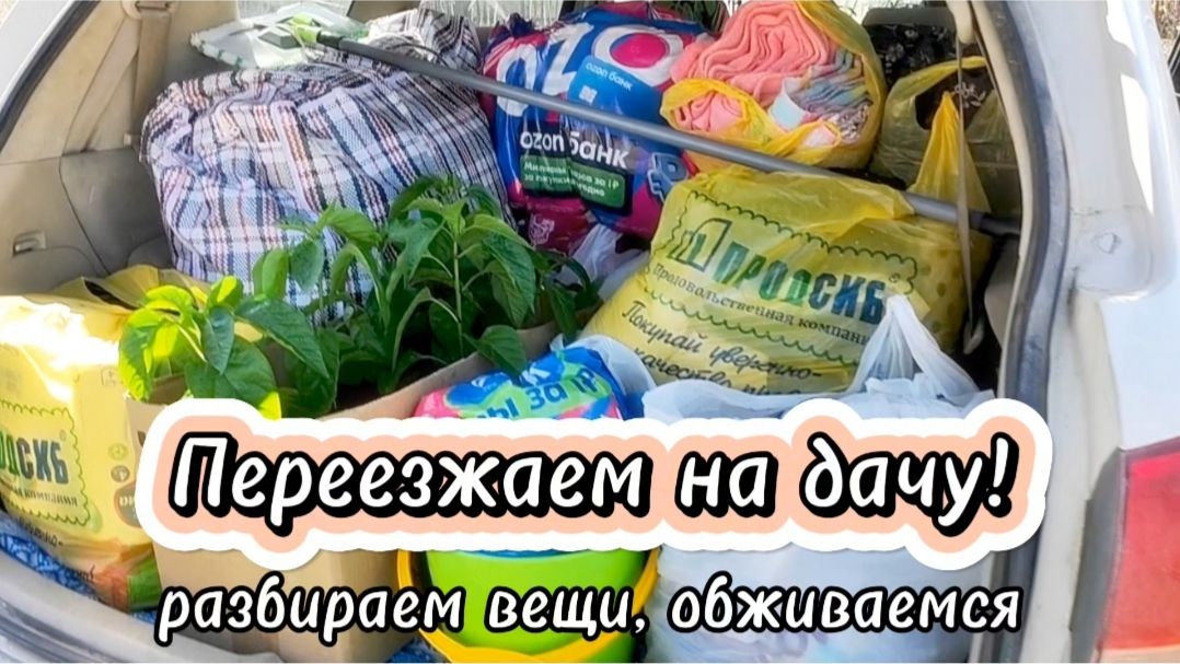 Переезжаем на дачу! Разбираем вещи, обживаемся.