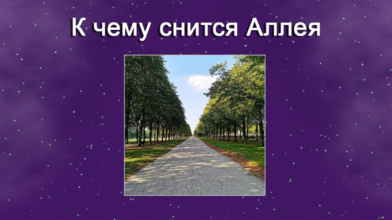К чему снится Аллея - толкование сна