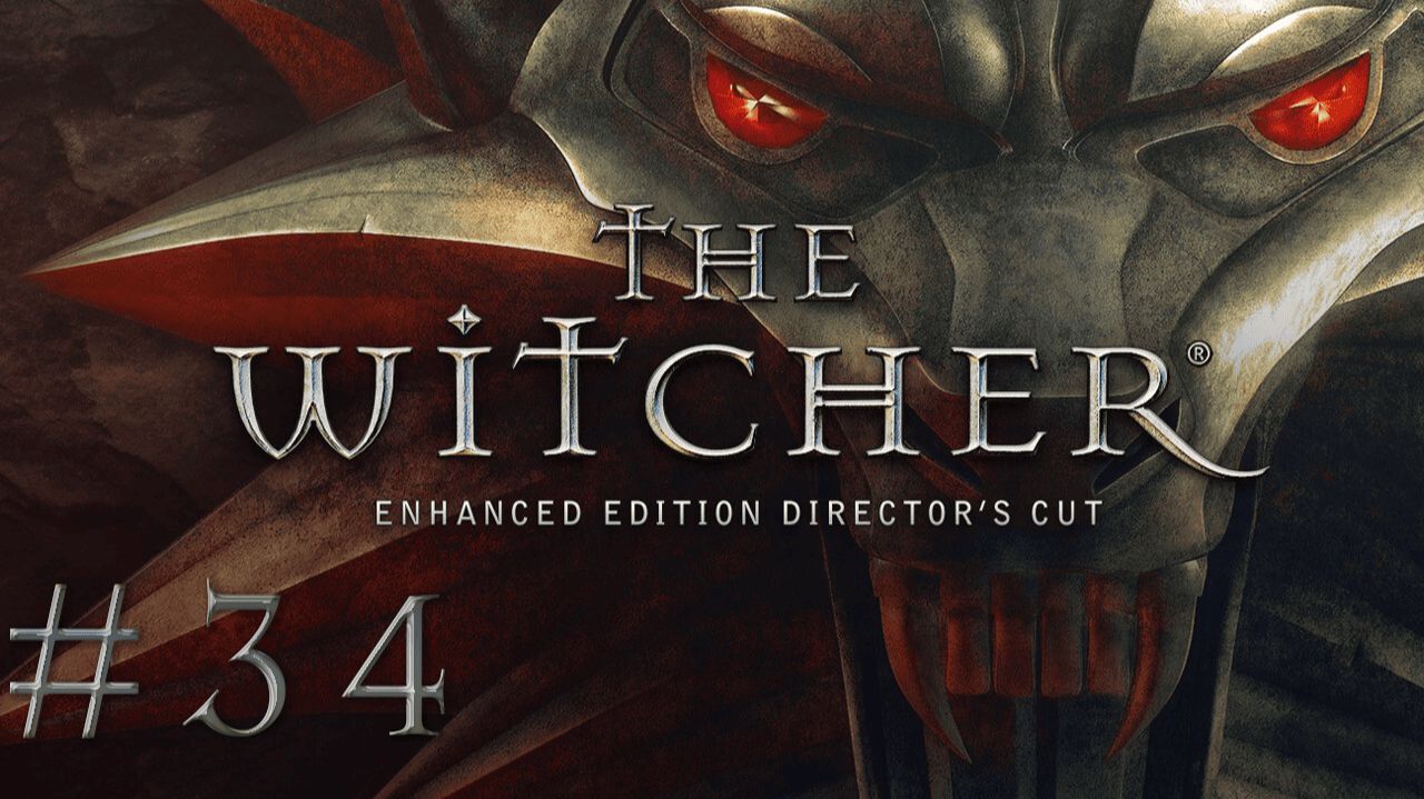 The Witcher [34]