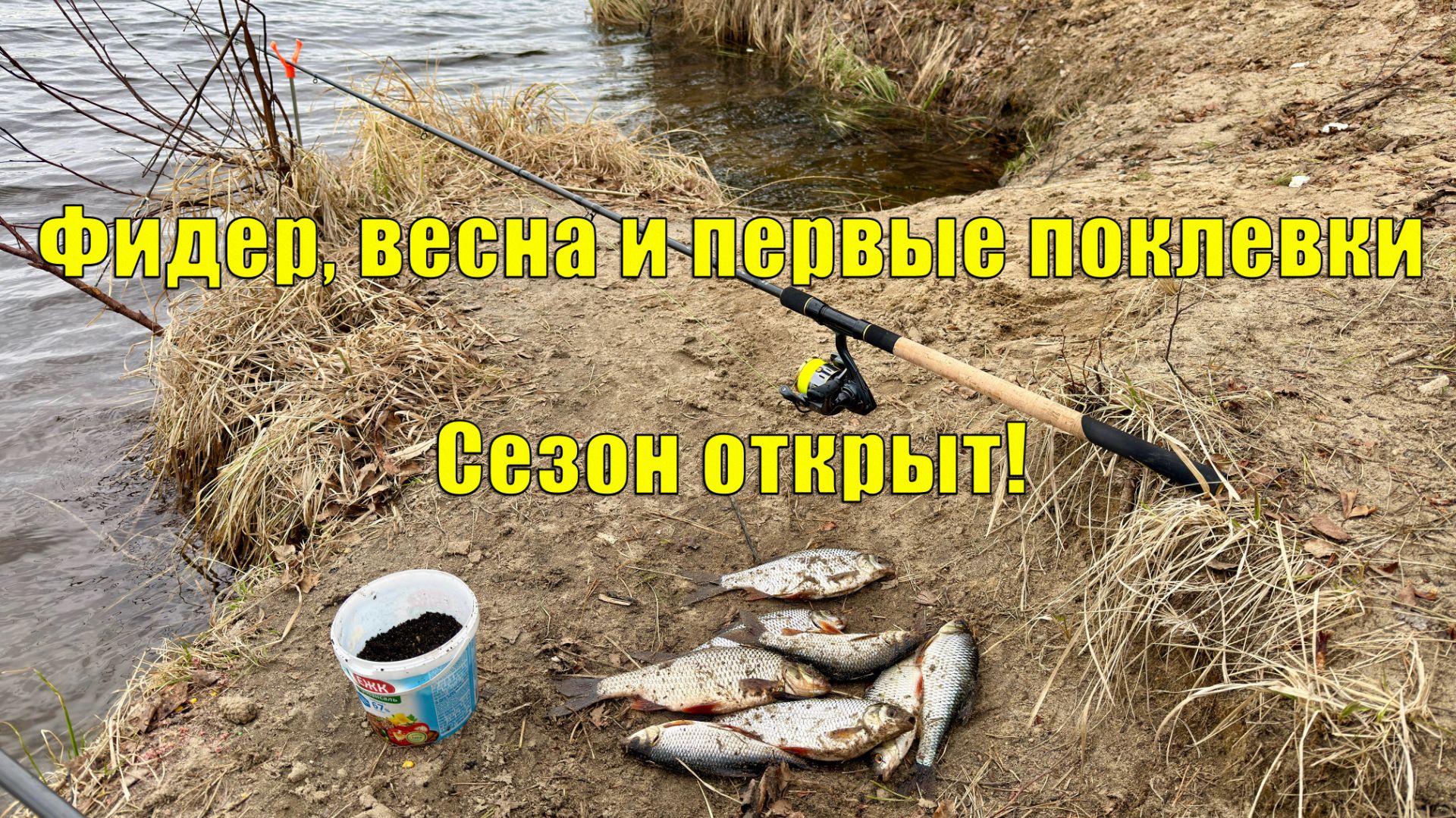 Первый фидер, первый окунь и...фидергам? Разбираемся на месте. Рыбалка 2026.
