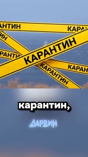 Хантавирус часть 1