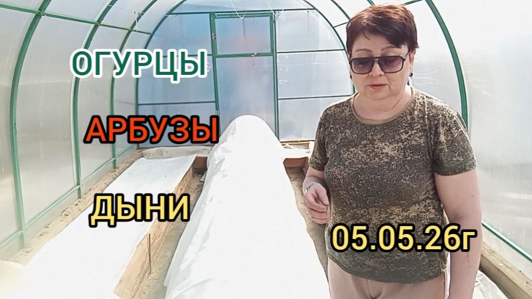 ПОСЕЯЛА СУХИМИ СЕМЕНАМИ.😉 ОГУРЦЫ, АРБУЗЫ, ДЫНИ.05.05.26г