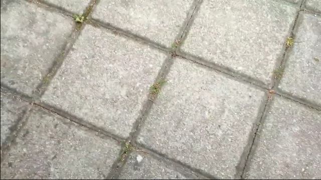 Валера альбатрос ест колбасу