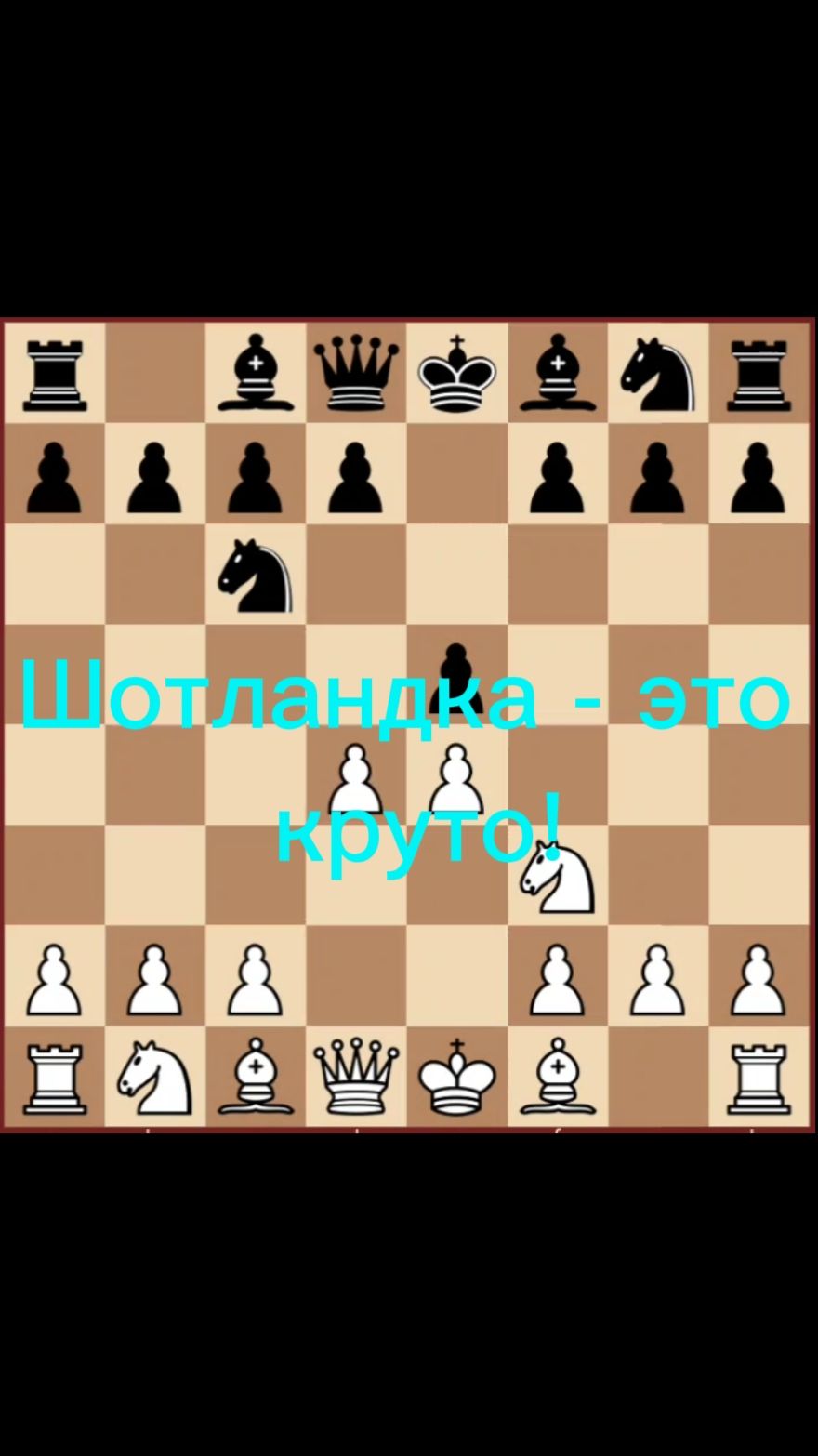 3 ловушки в шотландской партии.