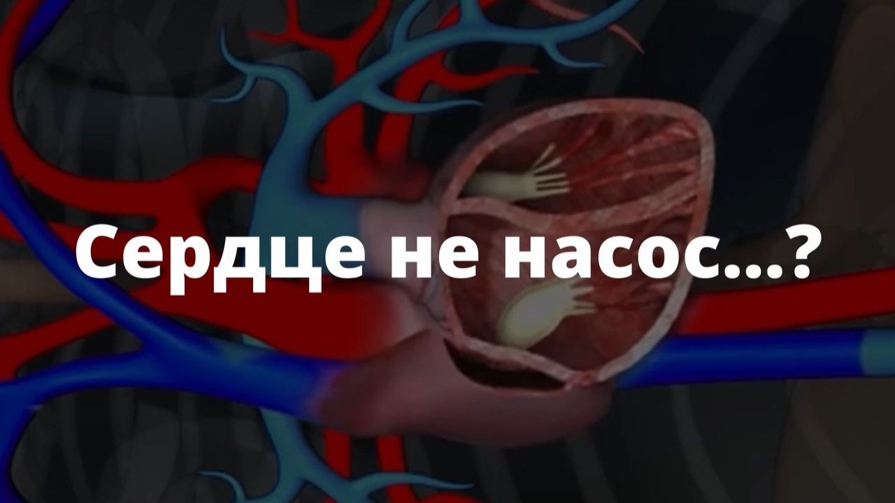 СЕРДЦЕ НЕ НАСОС
