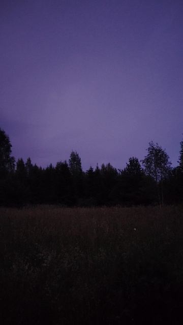 Гром и Молния ©20250712