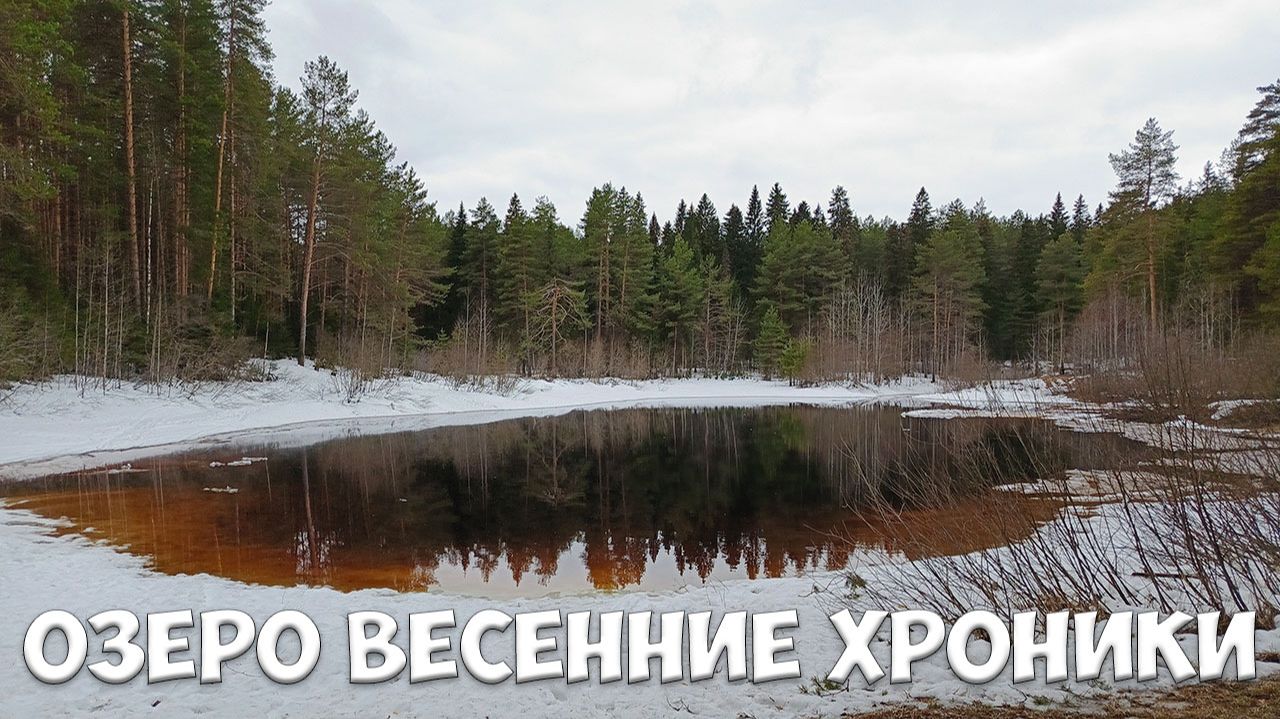 Озеро. Весенние хроники