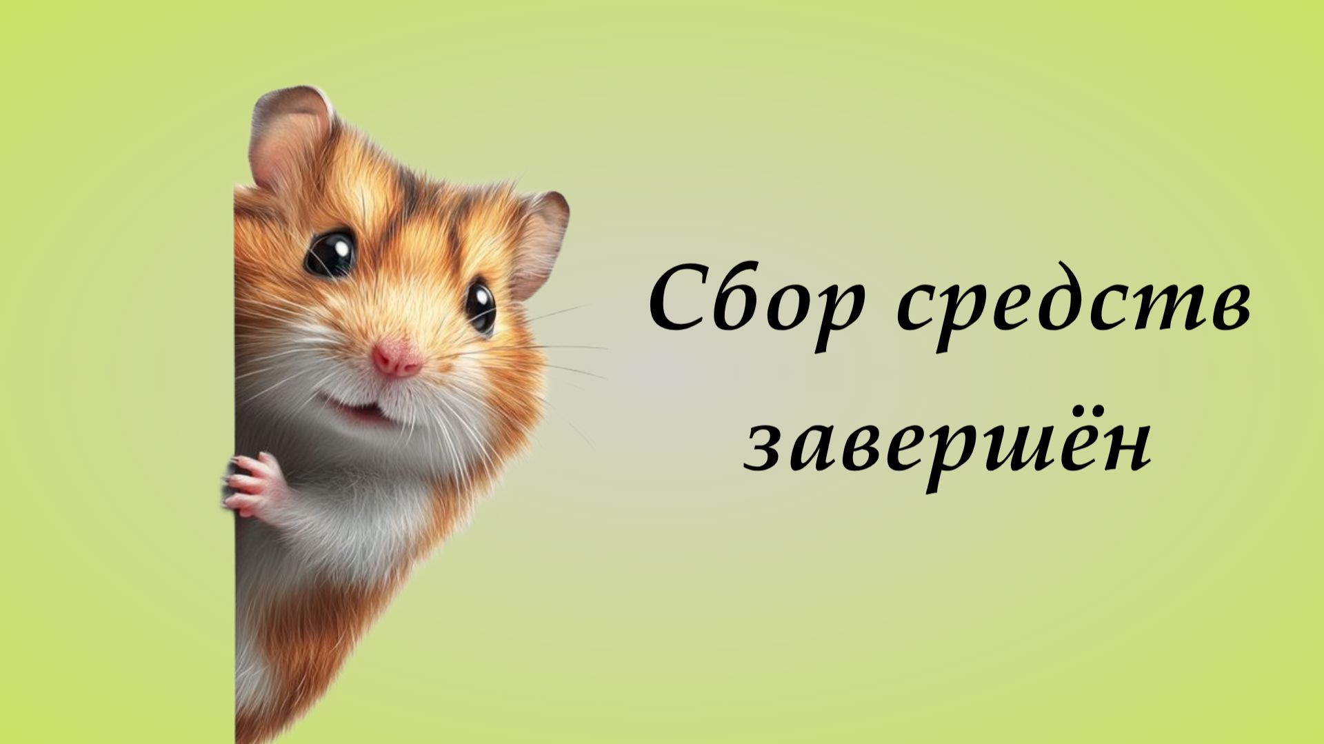Сбор на продолжение доклинических испытаний терапии болезни Штаргардта закрыт!