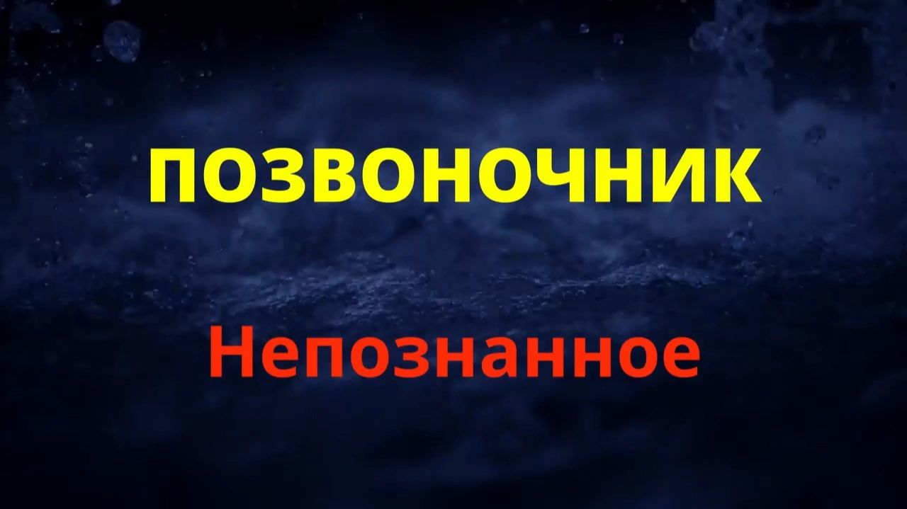 ПОЗВОНОЧНИК.НЕПОЗНАННОЕ
