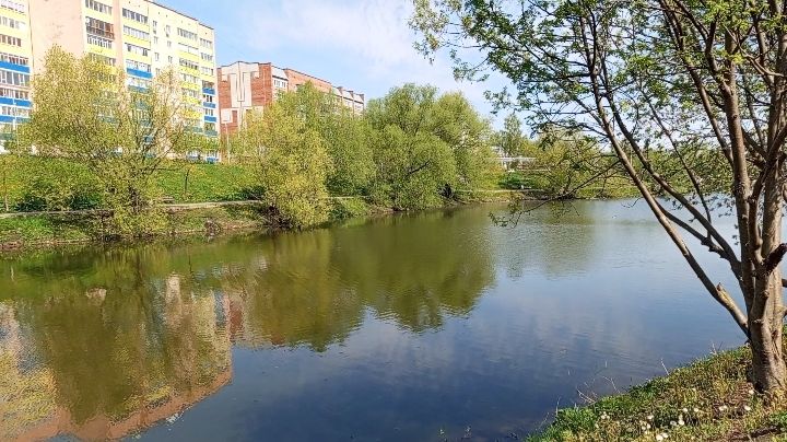 Болталка.Иду домой из поликлиники. Получила травму 😔