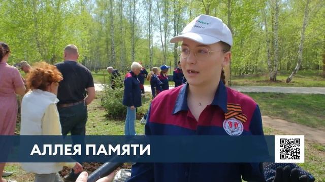В Нижнекамске высадили 81 ель к годовщине Победы