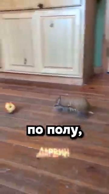 Важнейшая новость на сегодня
