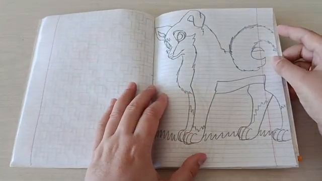 Закончила тетрадь с рисунками