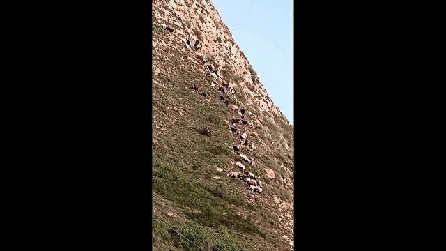 с горы