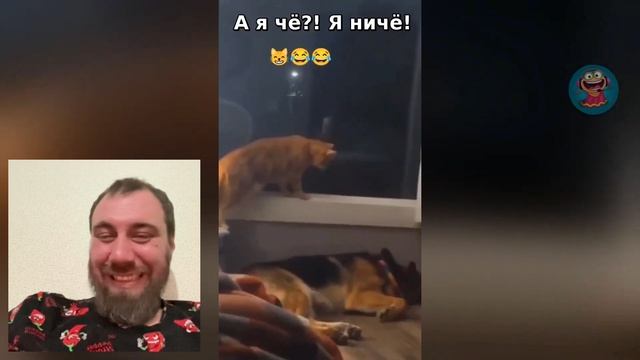 «Смотри первым!» — свежая порция ржаки только тут!