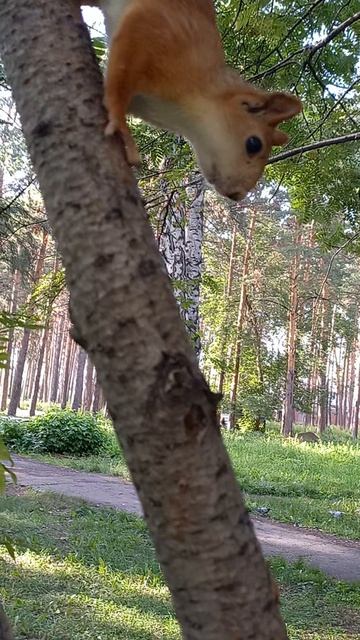 20230730_181837