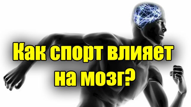Доказанный наукой эффект движения для улучшения памяти | Венди Судзуки: полное интервью