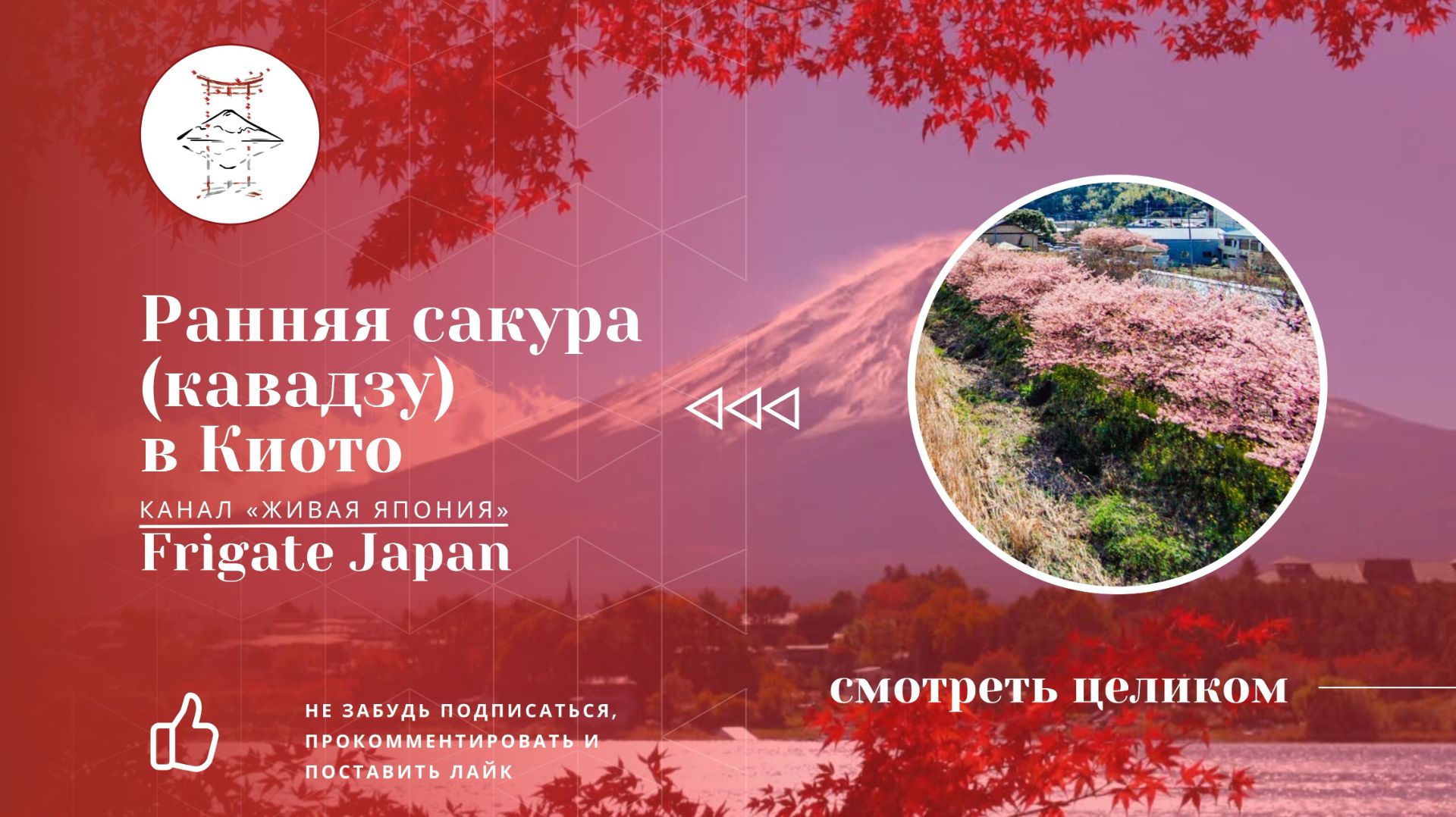 Встречаем сакуру в Киото (Кавадзу-сакура)