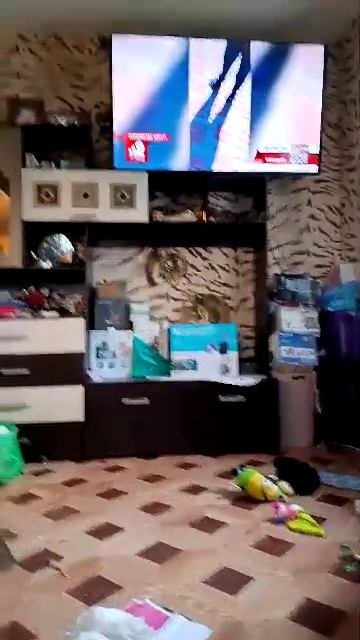 СРОЧНО кубик play
