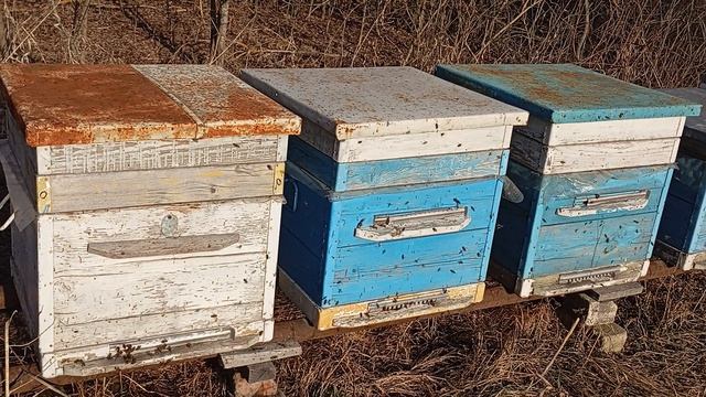 «Весна на пасеке: открываем сезон 2026 года!»