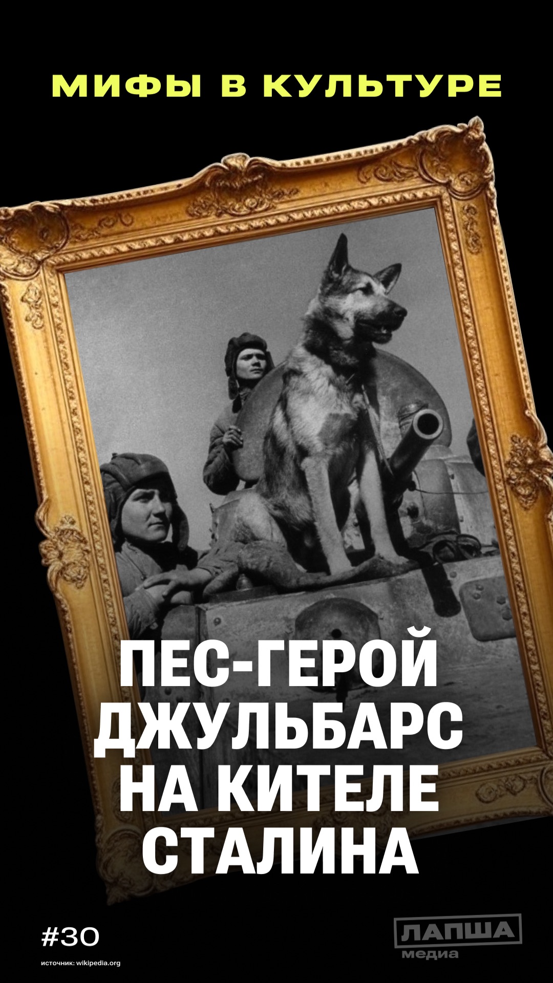 ЭТА СОБАКА - ГЕРОЙ #9Мая