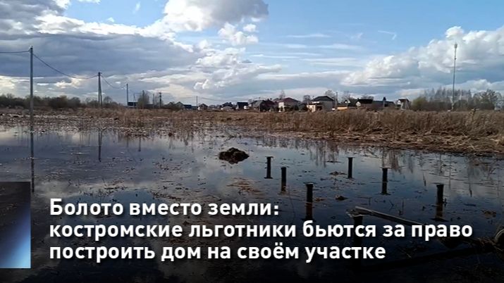 Болото вместо земли: костромские льготники бьются за право построить дом на своём участке