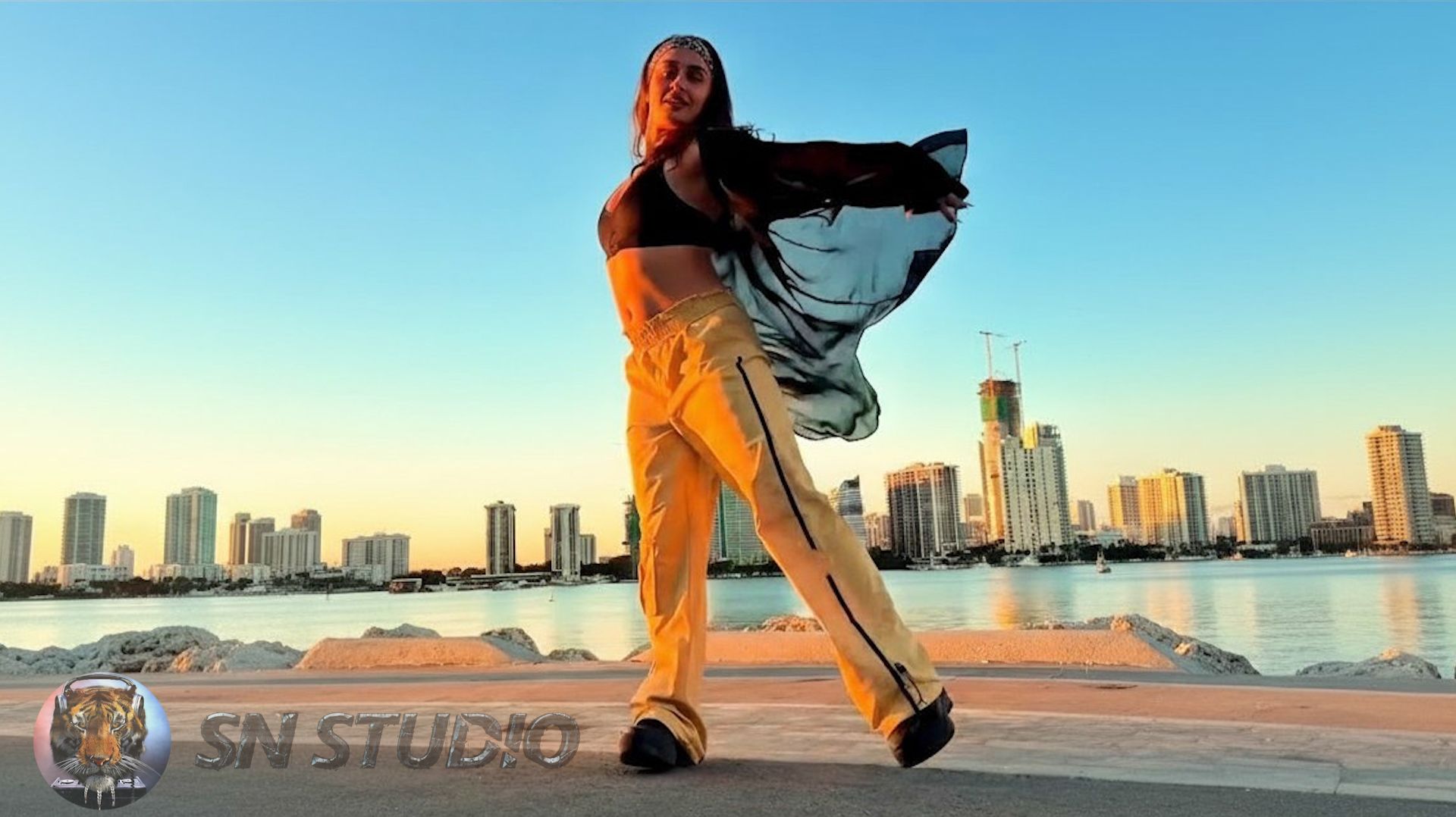 ♫ Snap - Rhythm Is A Dancer (Cover) SN Studio Remix ♫ Shuffle Dance Video