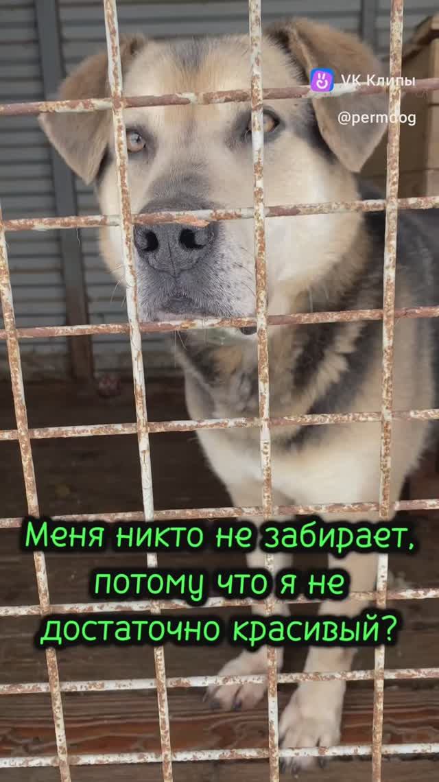 👉 Приезжайте познакомиться с серьезным парнем