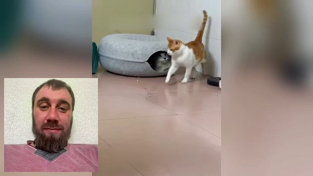 «ТЫ НЕ ПОВЕРИШЬ, что они вытворяют!» — угарные моменты!