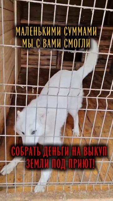 День 100 - 08.05.2026