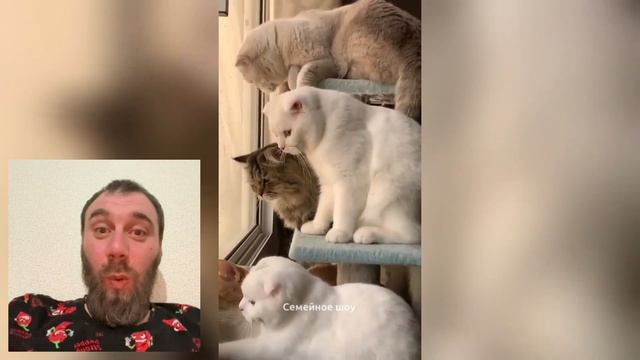 «Смотри первым!» — свежая порция ржаки только тут!