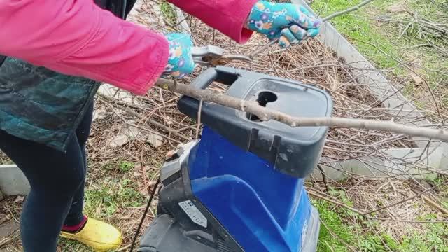 САДОВЫЙ ИЗМЕЛЬЧИТЕЛЬ ♻️ Мой незаменимый помощник 👍