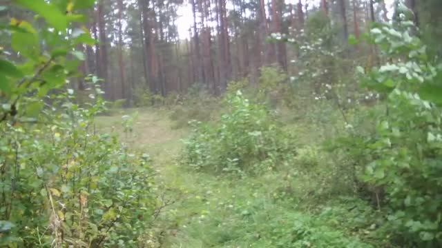 Сильный дождь на Озере неожиданная встреча с Вороном грибы вместо рыбалки