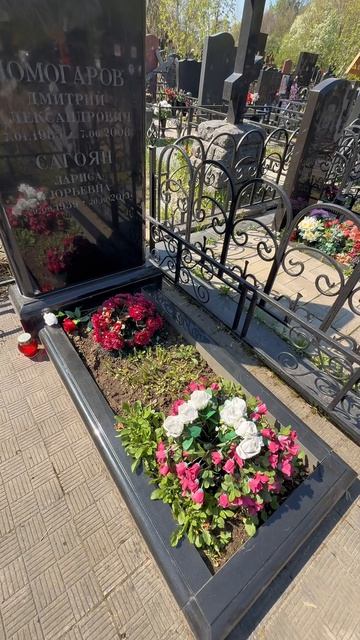 АРТИСТА ЗАТРАВИЛИ , ЧТО НЕ ПРИШЁЛ НА ПОХОРОНЫ СЫНА ... МОГИЛА ДМИТРИЯ ДОМОГАРОВА | ВОСТРЯКОВСКОЕ