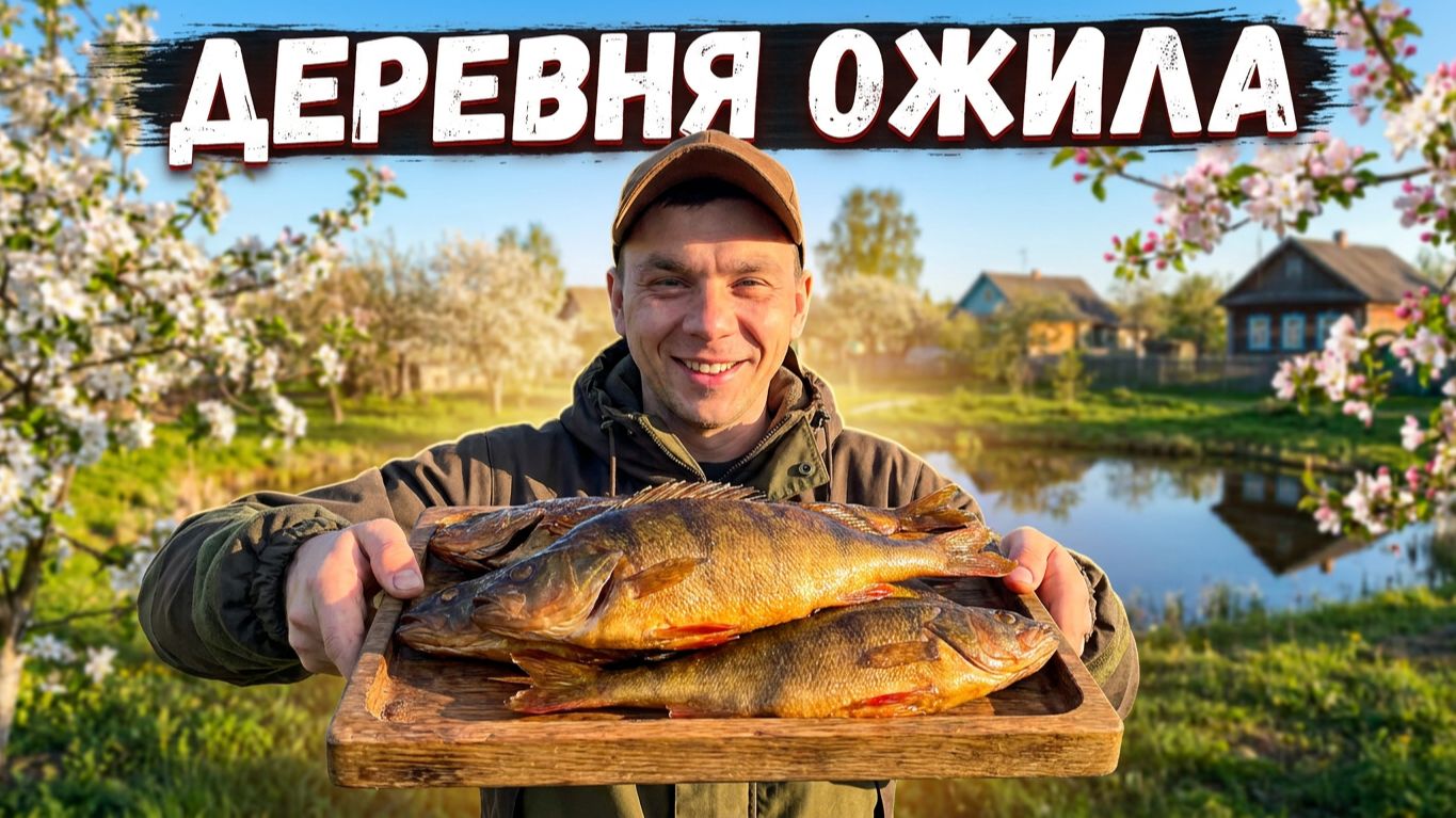 ЛОСЬ В ОГОРОДЕ?! Бешеный клёв и копченые окуни.