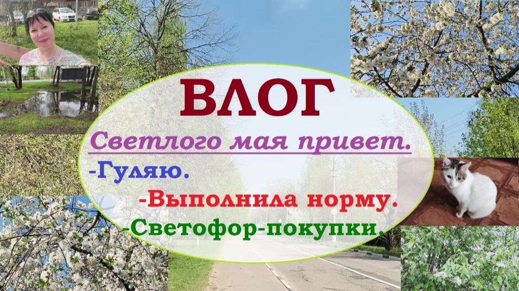 ВЛОГ.Гуляю.Выполнила норму.Светофор-покупки