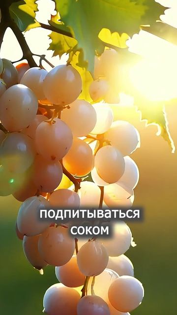 🌿 Молитва в действии: Как оставаться подключённым к Источнику силы?