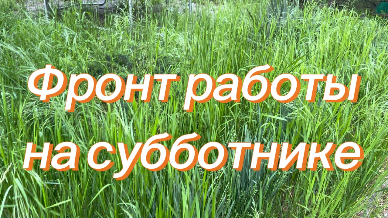 Завтра День Победы ‼️💯 Фронт работы на субботнике ☑️ 🌹Наш двор 🦋💥