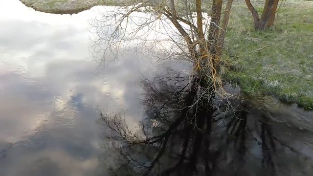 Путешествуем на автомобиле по Псковской Области реки Уда Барутка Сороть Великая