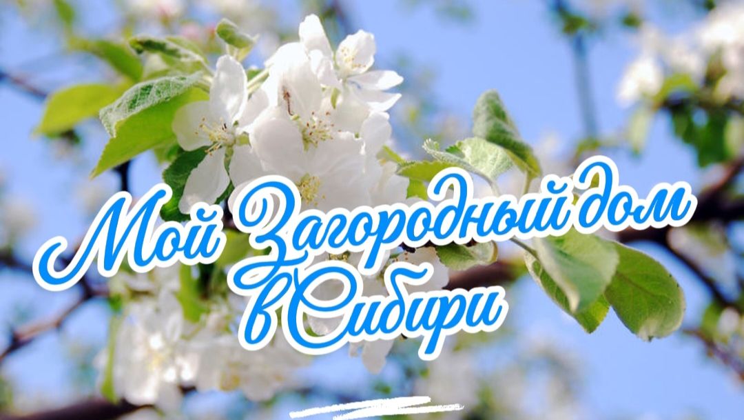 Мой Загородный дом в Сибири/Дочке было плохо - вызывала скорую/Не понравилось отношение  их.