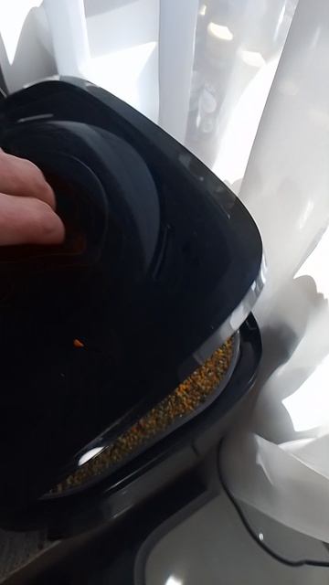 Как выглядит пчелиная пыльца 🐝