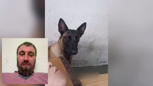 «ТЫ НЕ ПОВЕРИШЬ, что они вытворяют!» — угарные моменты!