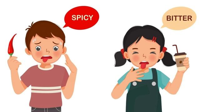 Вкус: Научный разбор - как язык, нос и мозг создают вкус вашей еды