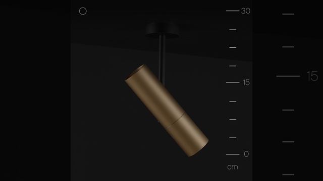 Светильник Maytoni Elti C020CL-01GB
