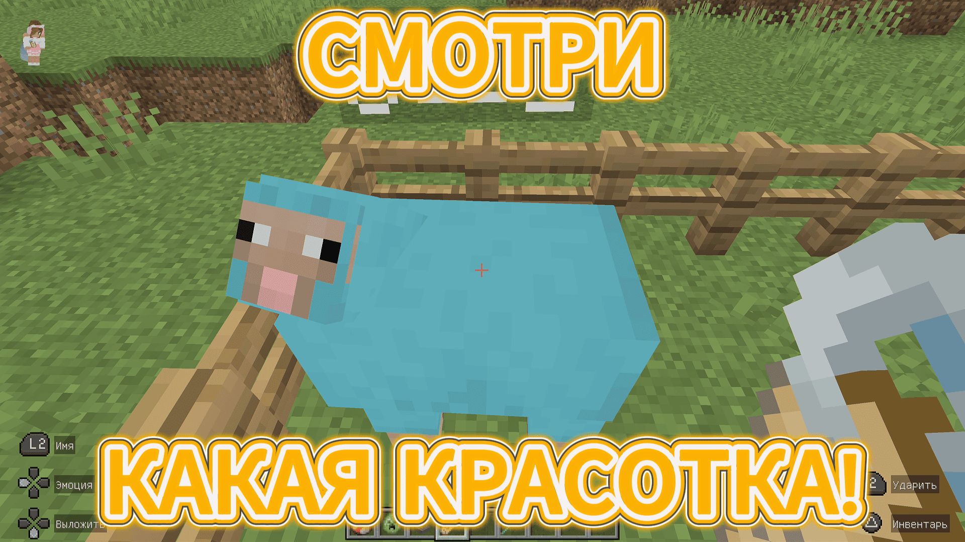 СМОТРИ, КАКИЕ КРАСОТКИ! Играем c Amira Cat в Minecraft (Майнкрафт)