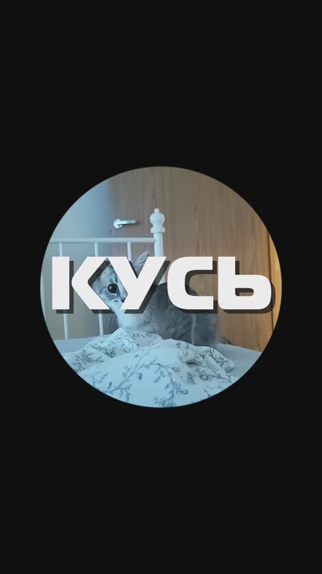 Кусь!