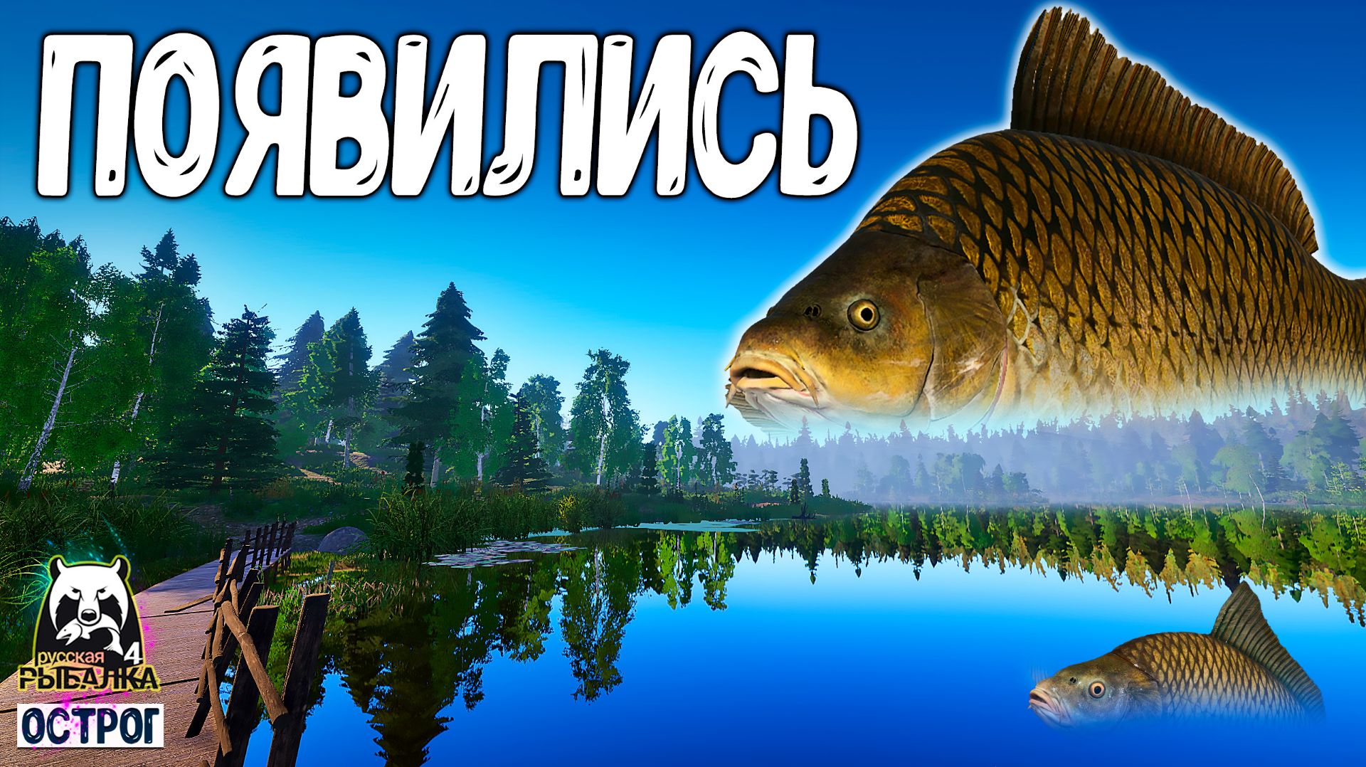 Rf4 они вновь появились и просятся на крючки #рр4