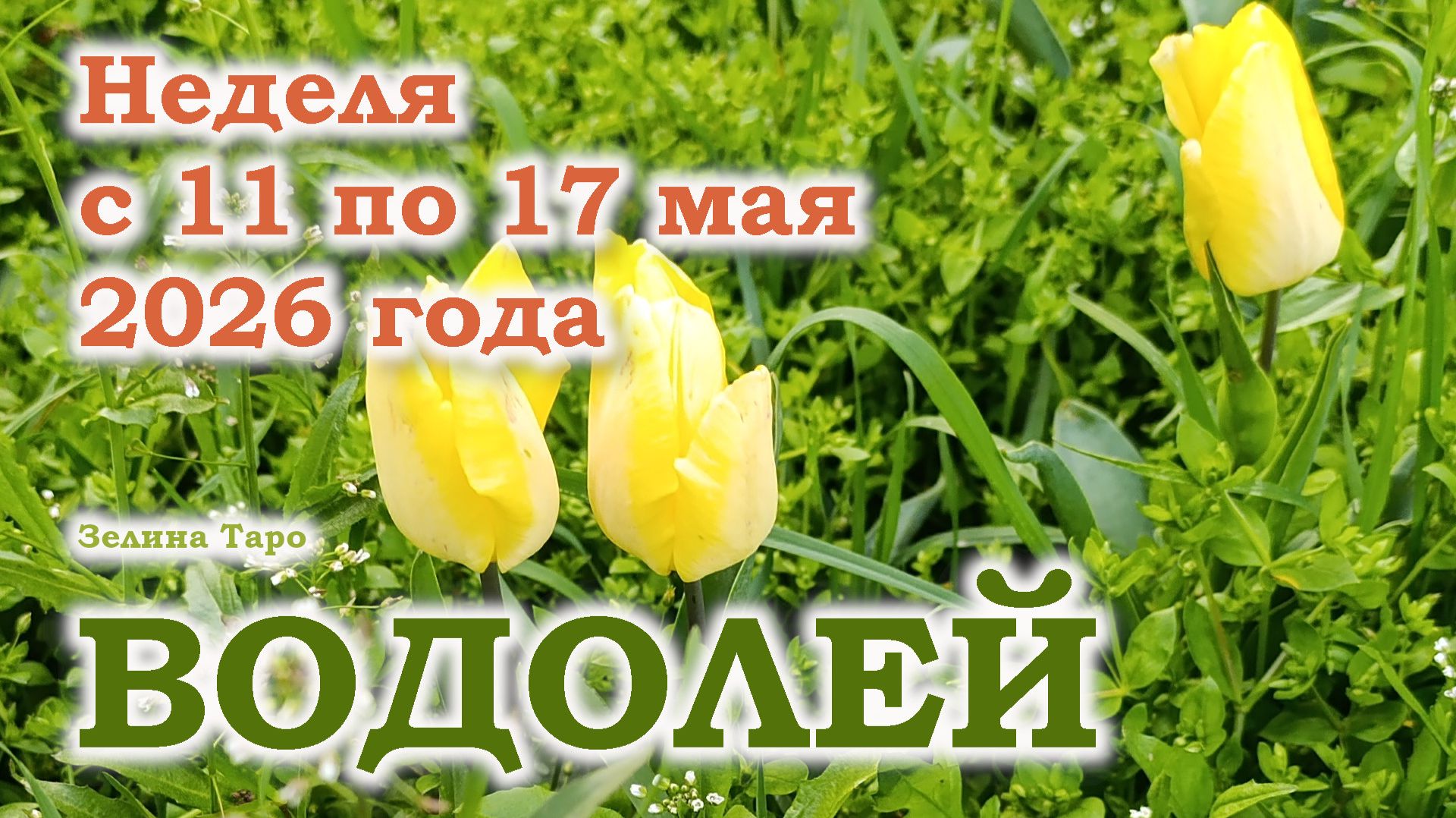 ВОДОЛЕЙ | ТАРО прогноз на неделю с 11 по 17 мая 2026 года