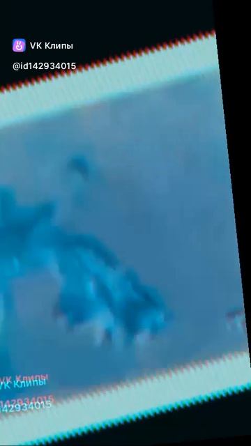 clip1