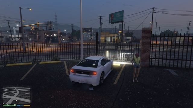 Grand Theft Auto V часть 1